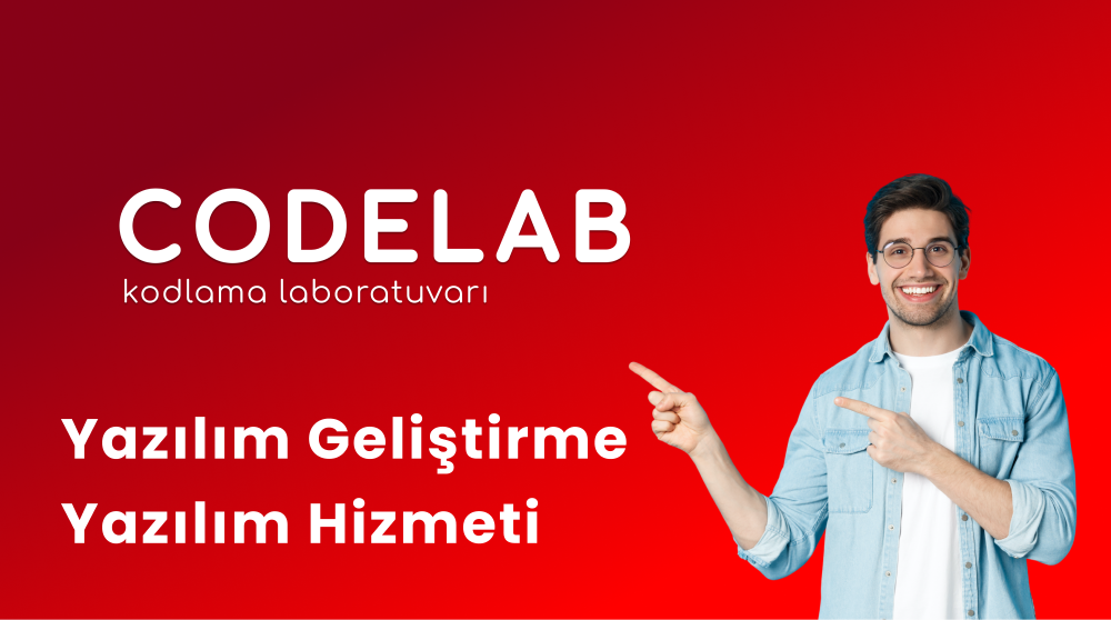 Yazılım Hizmeti: Yazılım Geliştirme