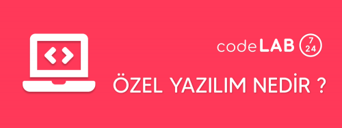 Özel Yazılım Nedir: Özel Yazılım Nasıl Yapılır Özel Yazılım Nedir: Özel Yazılım Nasıl Yapılır